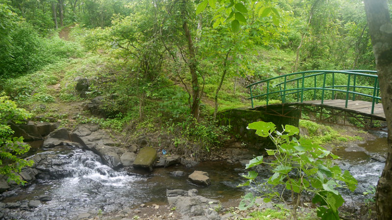 Places to visit in Konkan During Monsoon - Konkan Waterfall