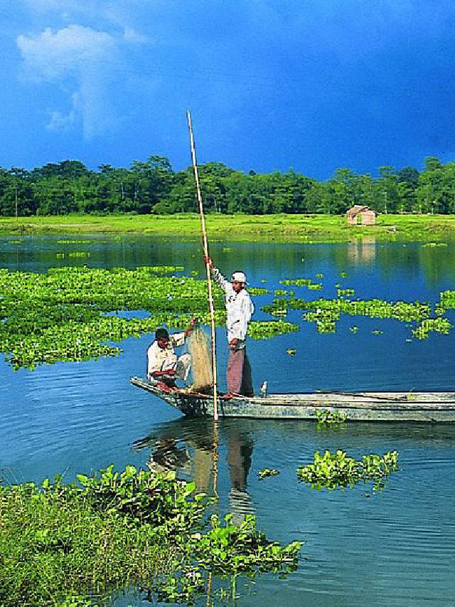 10 Best Waterfall in Assam during Monsoon - Konkan.me